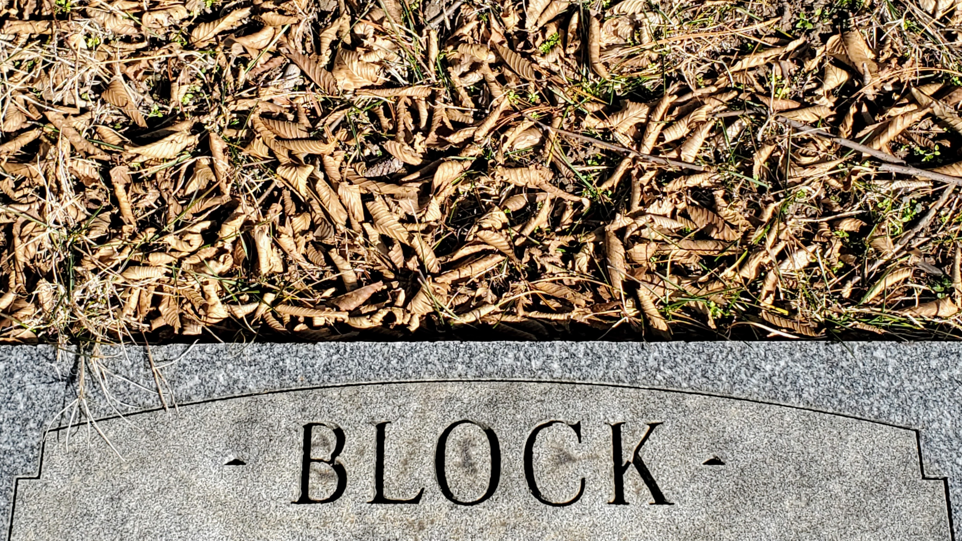 Verbs – Green-Wood Glossary