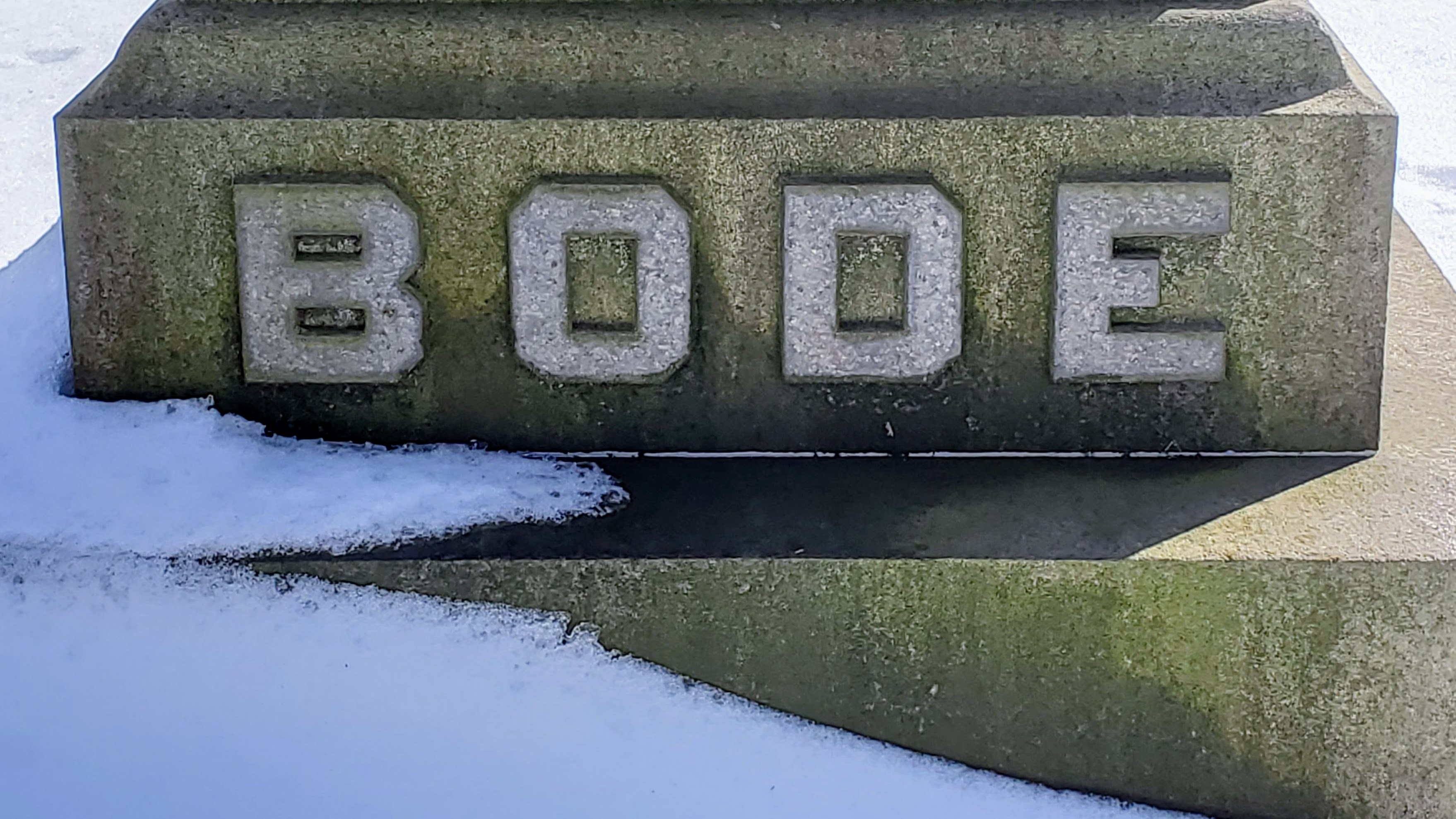 Verbs – Green-Wood Glossary