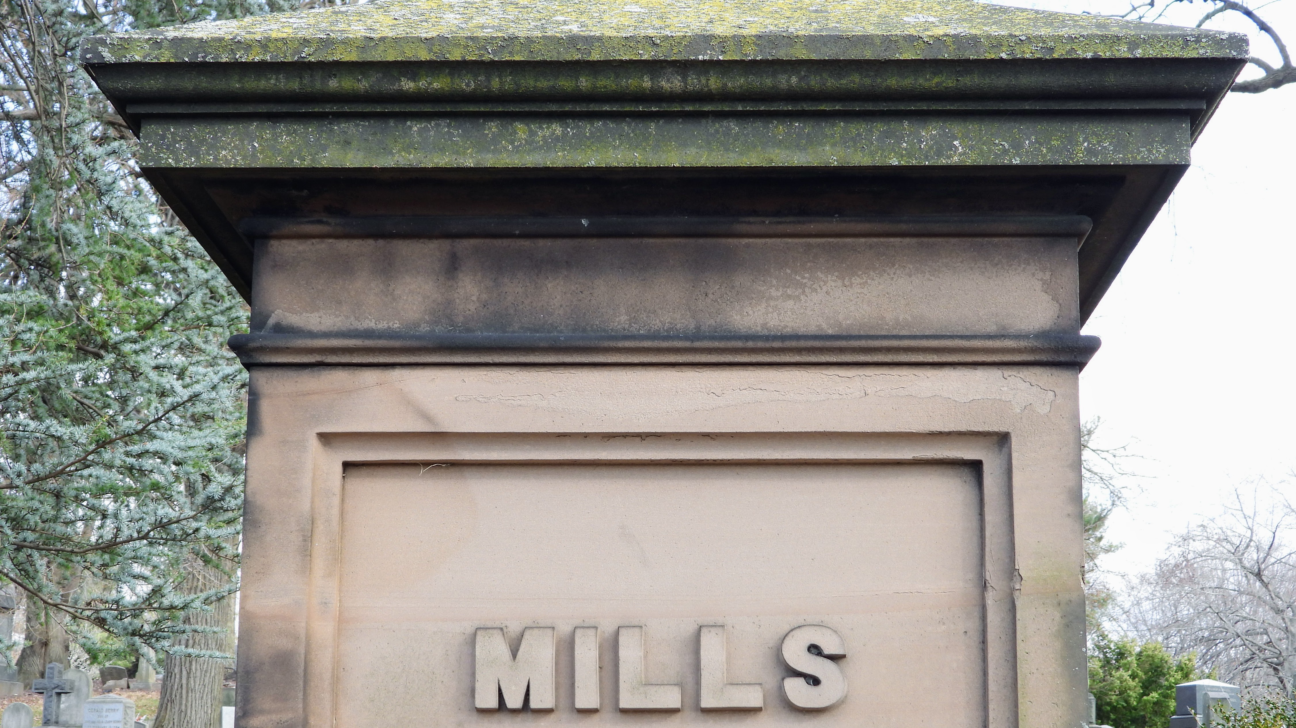 Verbs – Green-Wood Glossary