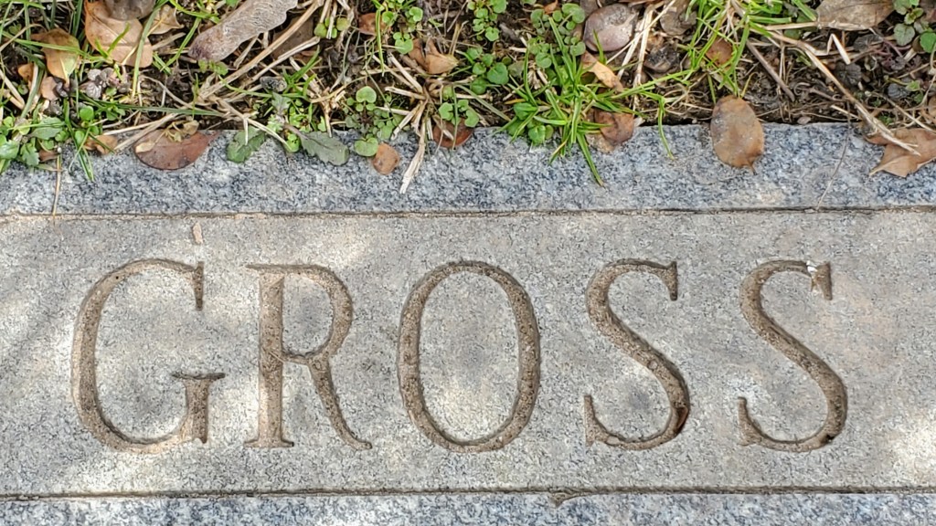 Adjectives – Green-Wood Glossary